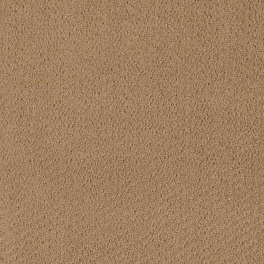 Mohawk Home & Office Classy Style Camel Carpet Sample at Lowes.com