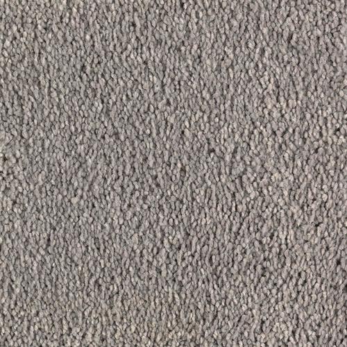 STAINMASTER Essentials Decor Flair Winter Calm Textured Carpet Sample ...