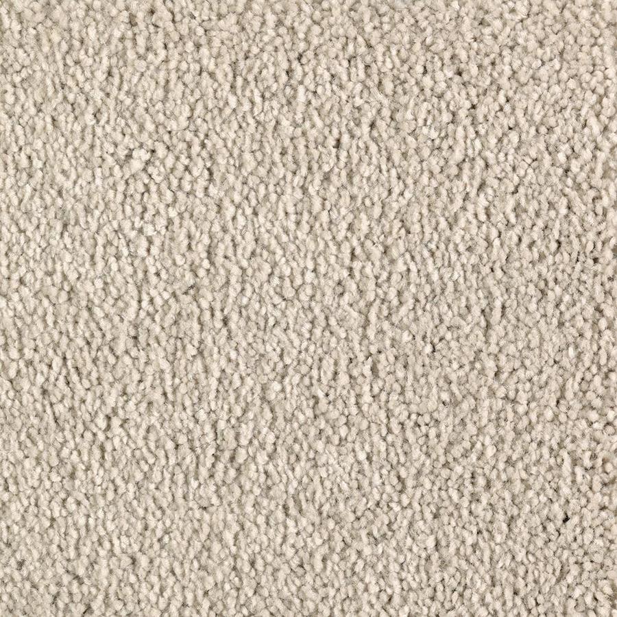 STAINMASTER Stainmaster DEcor Flair Champagne Glee Carpet Sample at ...