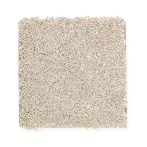 STAINMASTER Essentials Gentle Giant Wet Sand Textured Carpet (Indoor ...