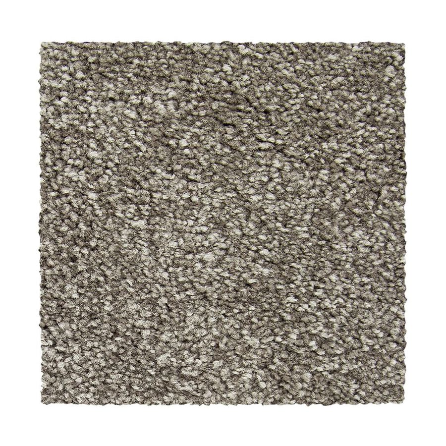 STAINMASTER Noble luxury MEDINA Carpet Sample in the Carpet Samples ...