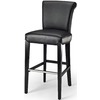 Safavieh Seth Bar Stool Black Bar Stool at Lowes.com
