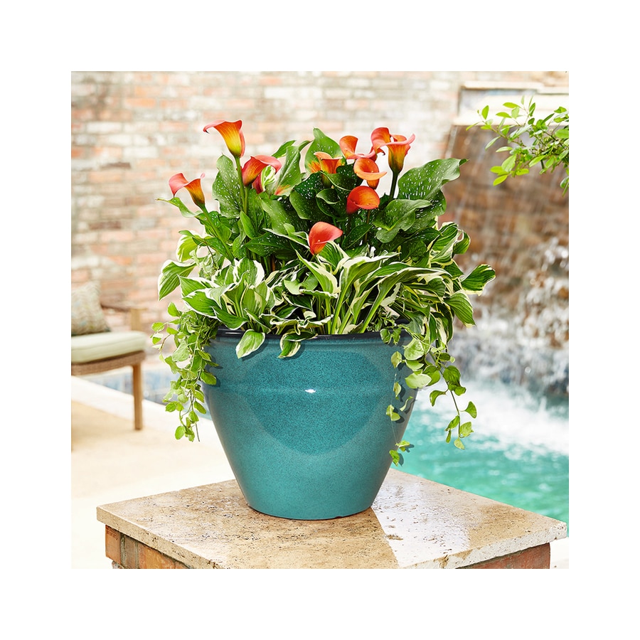 Allen + roth 14-in x 9.75-in Turquoise Resin Tapered Planter at Lowes.com