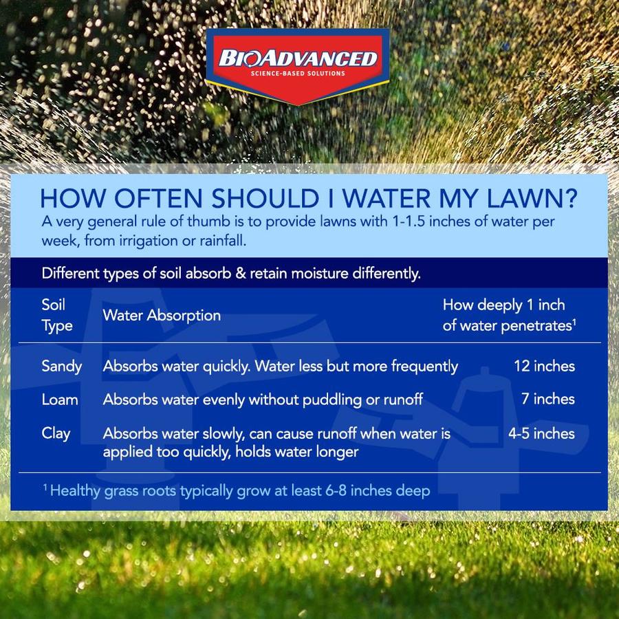 BioAdvanced 32-fl oz 5000-sq ft 0-0-0 Weed & Feed in the Lawn ...