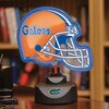 The Memory Company 12-in Sports Florida Gators Light at Lowes.com