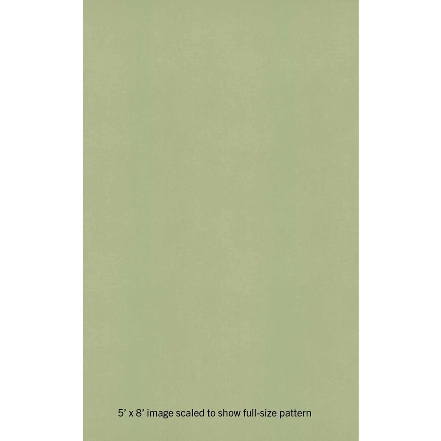 Wilsonart Standard 36-in x 96-in Sprout Laminate Kitchen Countertop ...
