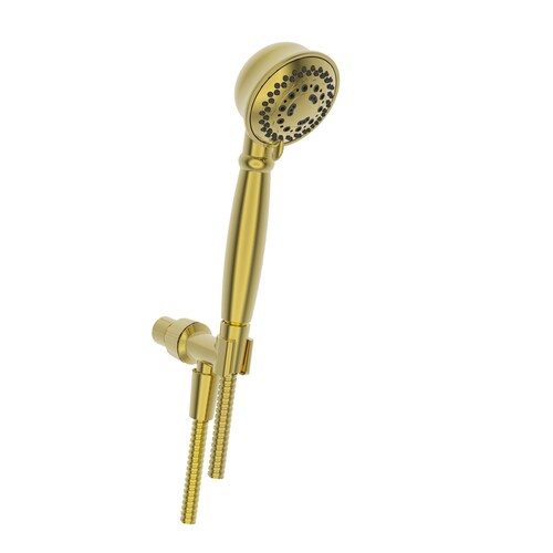 AquaSource 2.5-GPM Polished Brass 5-Spray Shower Massager in the Shower ...