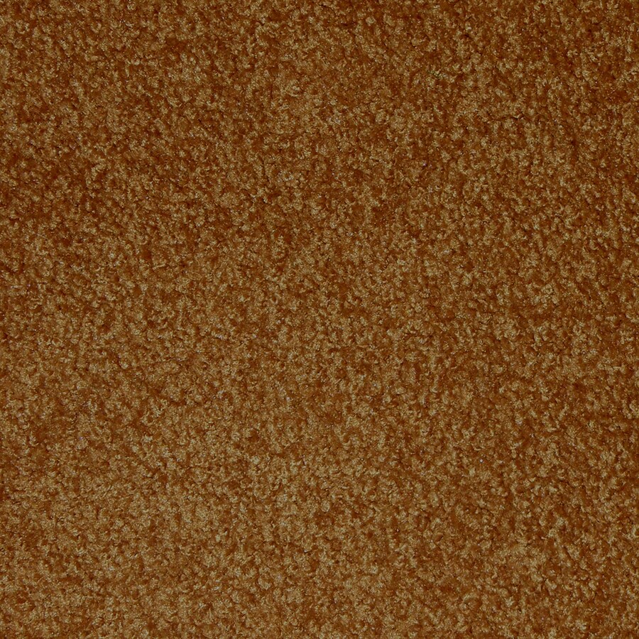 STAINMASTER Stainmaster Gallery Clay Carpet at Lowes.com