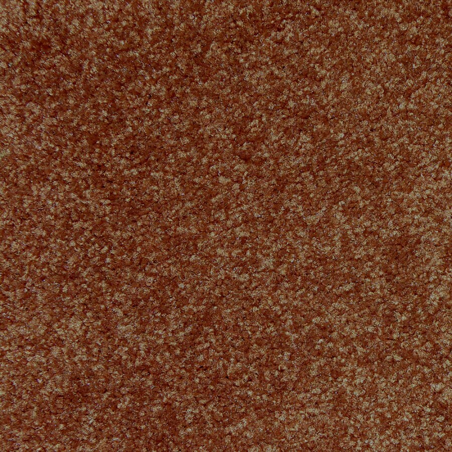 STAINMASTER Gallery Rustic Umber Carpet at Lowes.com