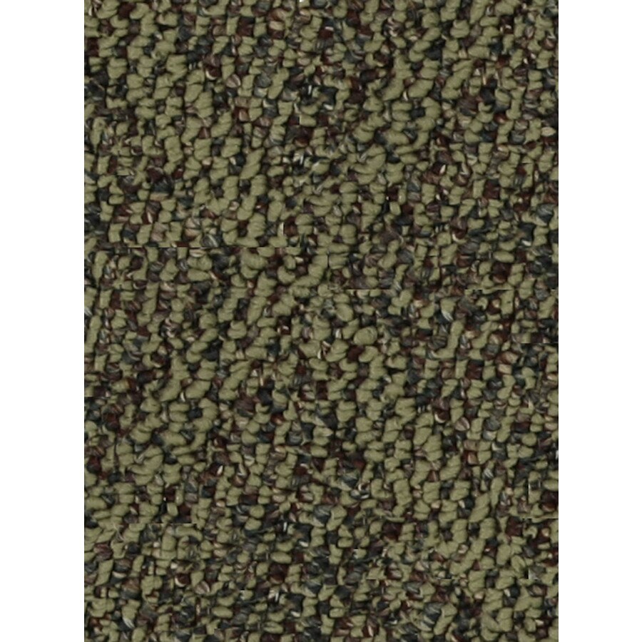 Coronet Sweet Success Indian Corn Berber/Loop Interior Carpet at Lowes.com