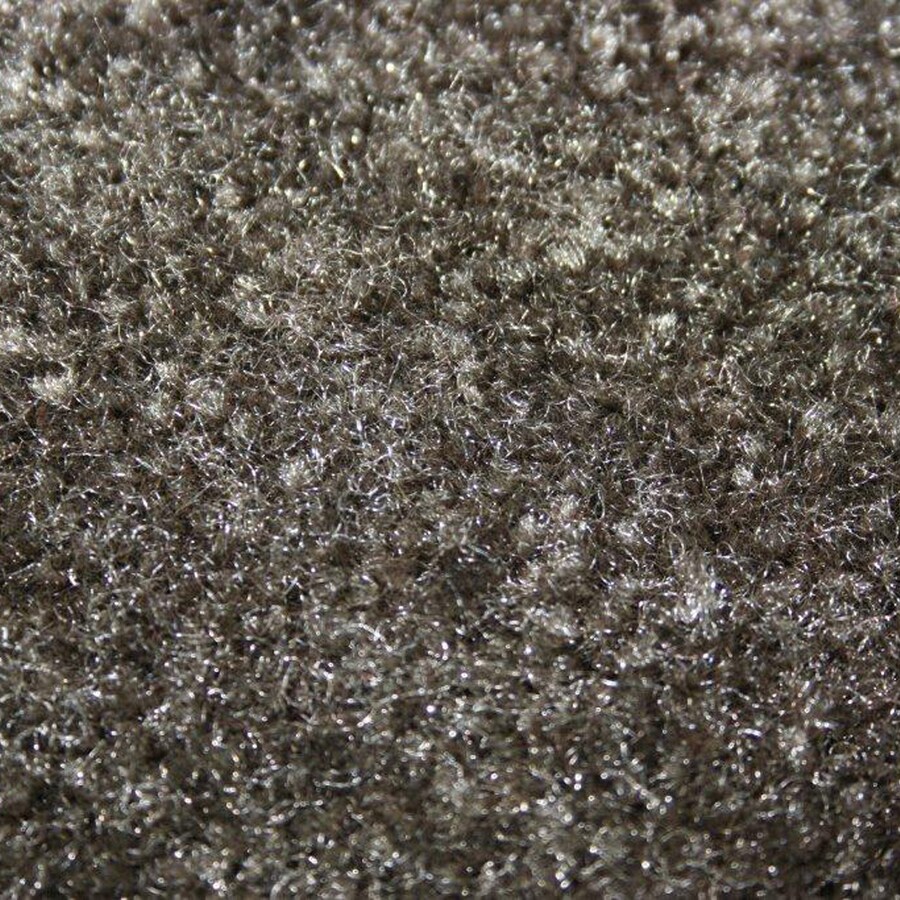 Coronet Big Hearted Eagle's Wing Textured Interior Carpet at Lowes.com