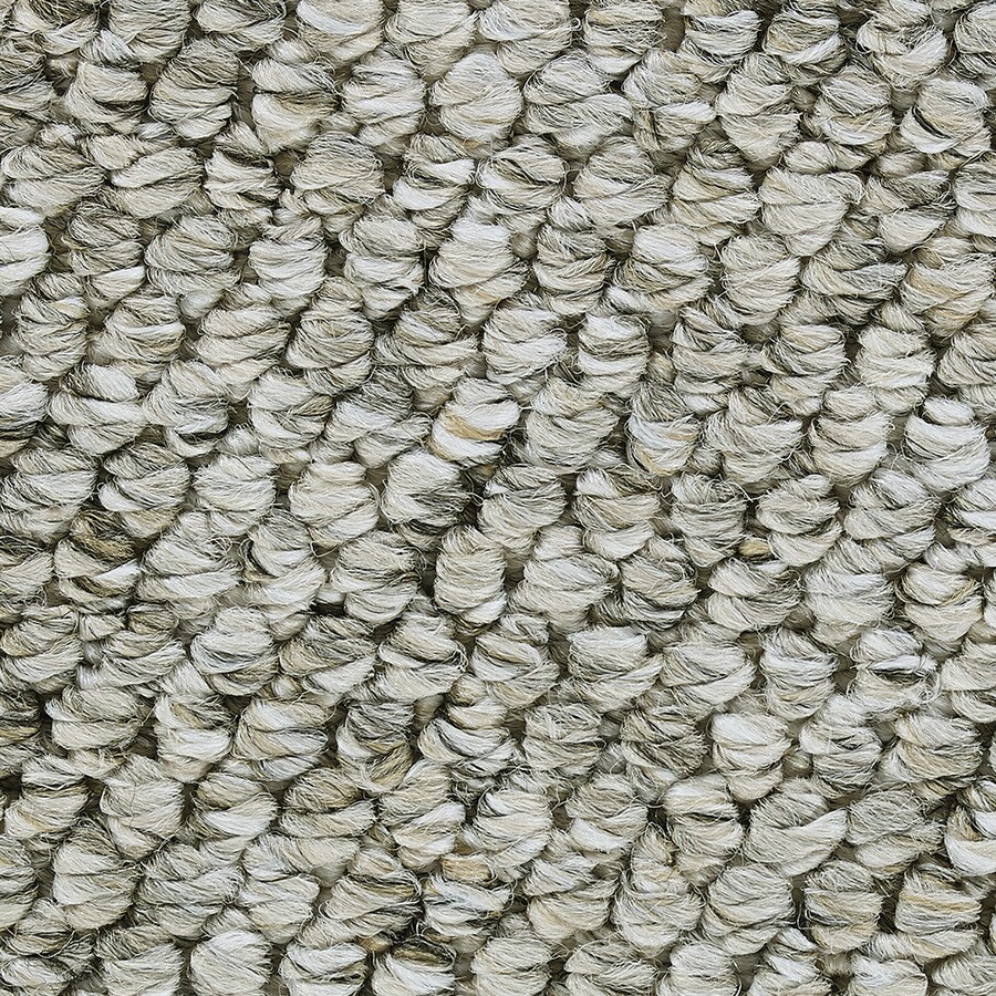 Coronet 15-ft Program Resplendent Berber/Loop Interior Carpet at Lowes.com