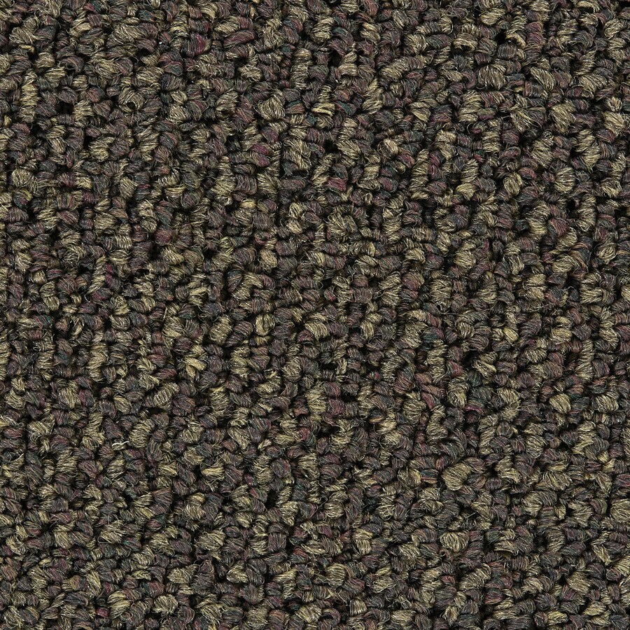 Coronet Wheelhouse Nutmeg Interior Carpet at Lowes.com