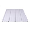 Fabral 5 Rib 3.14-ft x 8-ft Ribbed Steel Roof Panel at Lowes.com