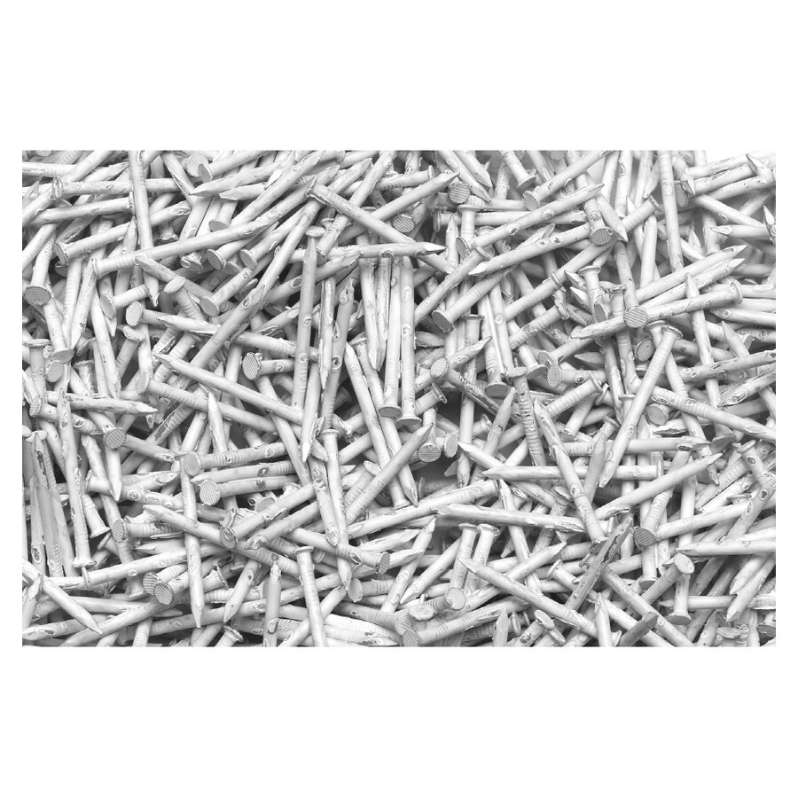 Durabuilt 100 Series White Trim Nail at Lowes.com