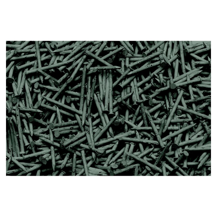 Durabuilt 15-Gauge 1-1/4-in Painted Aluminum Siding Nails at Lowes.com