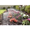 Mister Landscaper Drip Irrigation Micro-Spray Kit at Lowes.com