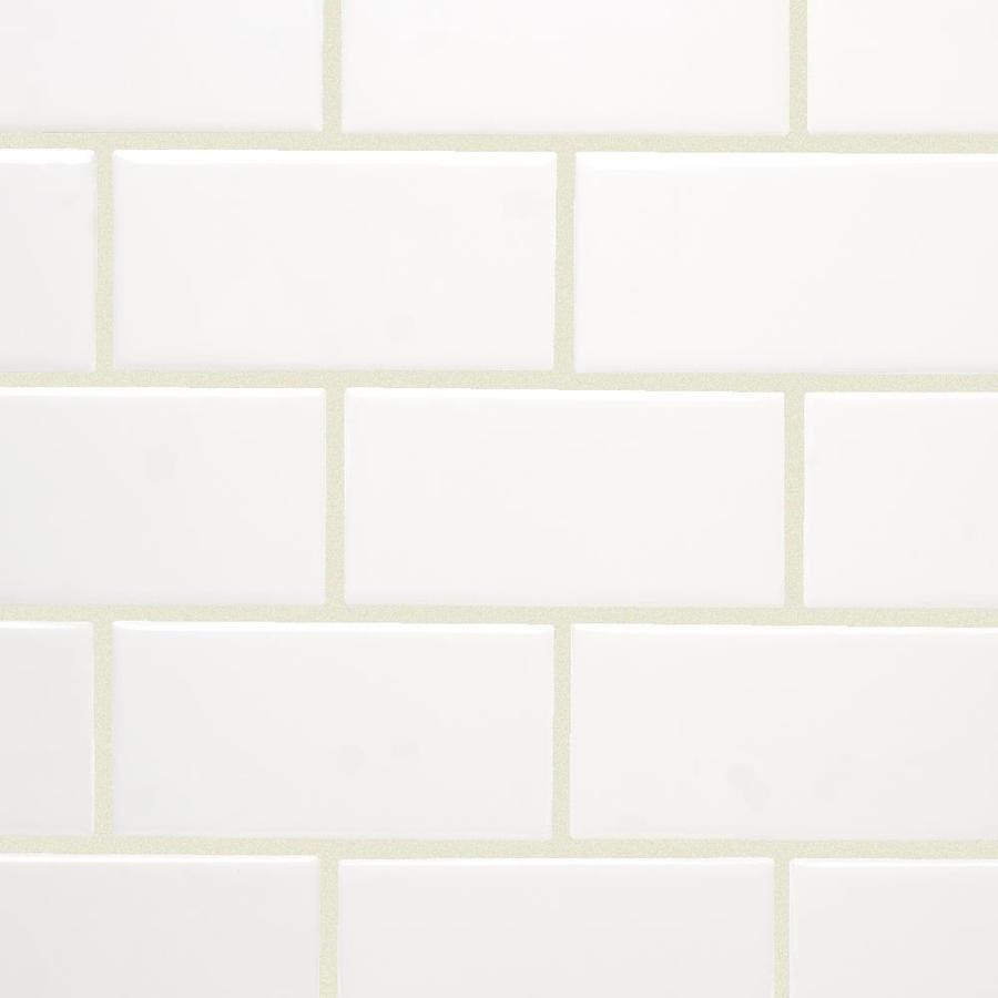 TEC Skill Set 10-lb Standard White Unsanded Grout in the Grout ...