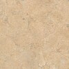 Formica Brand Laminate Patterns 30-in x 120-in Sand Stone Matte ...