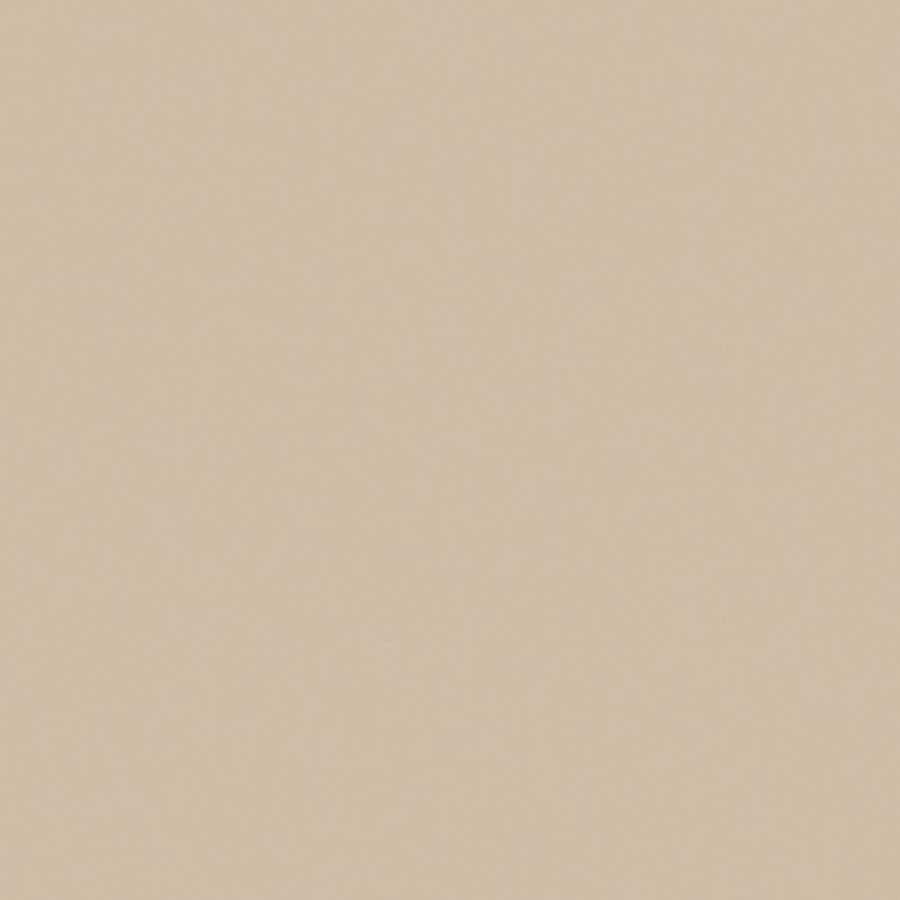 Wilsonart 60-in x 120-in Beige Laminate Kitchen Countertop Sheet at ...