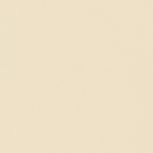 Wilsonart Standard 48-in W x 120-in L Beige Laminate Sheet in the ...