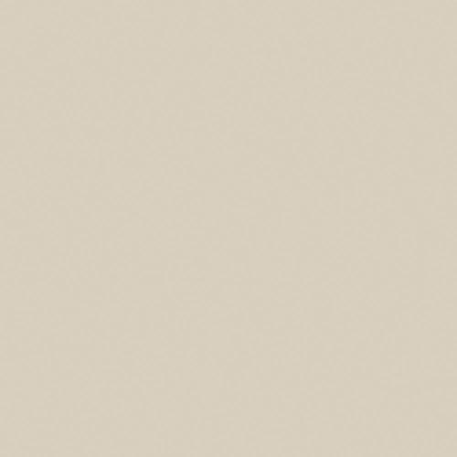 Wilsonart Standard 60-in x 144-in White Sand Laminate Kitchen ...