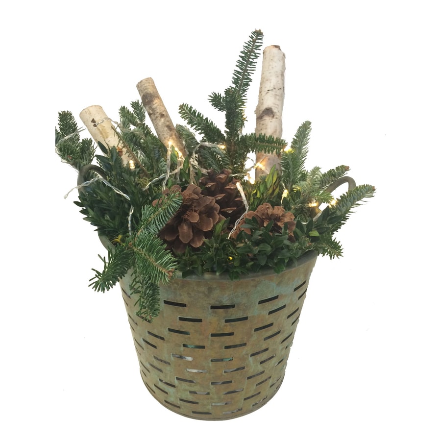 Fresh Christmas Decorative Greenery Basket at Lowes.com