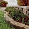 Shop Chiseledge Allegheny Straight Edging Stone (Common 10-in x 4-in ...