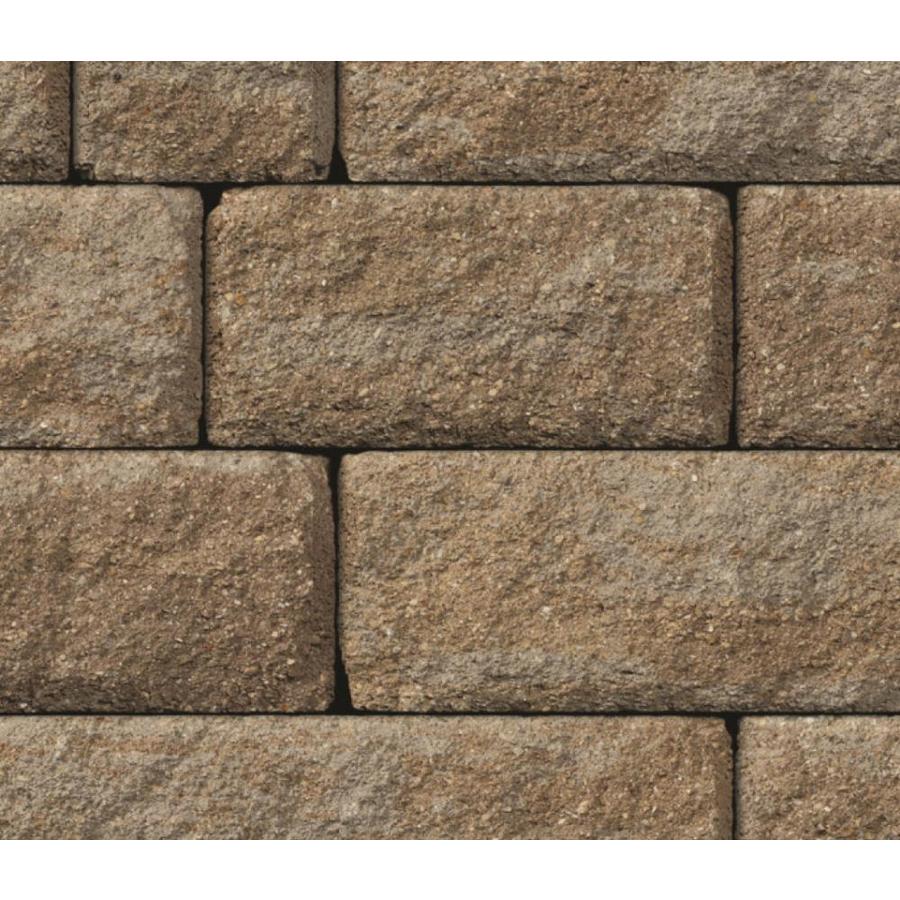 Belgard Anchor Highland Gascony Tan Retaining Wall Cap (Common: 3-in x ...