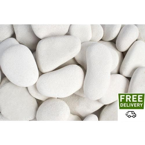 Rain Forest 20-lb White Flat Caribbean Beach Pebble in the Bulk ...