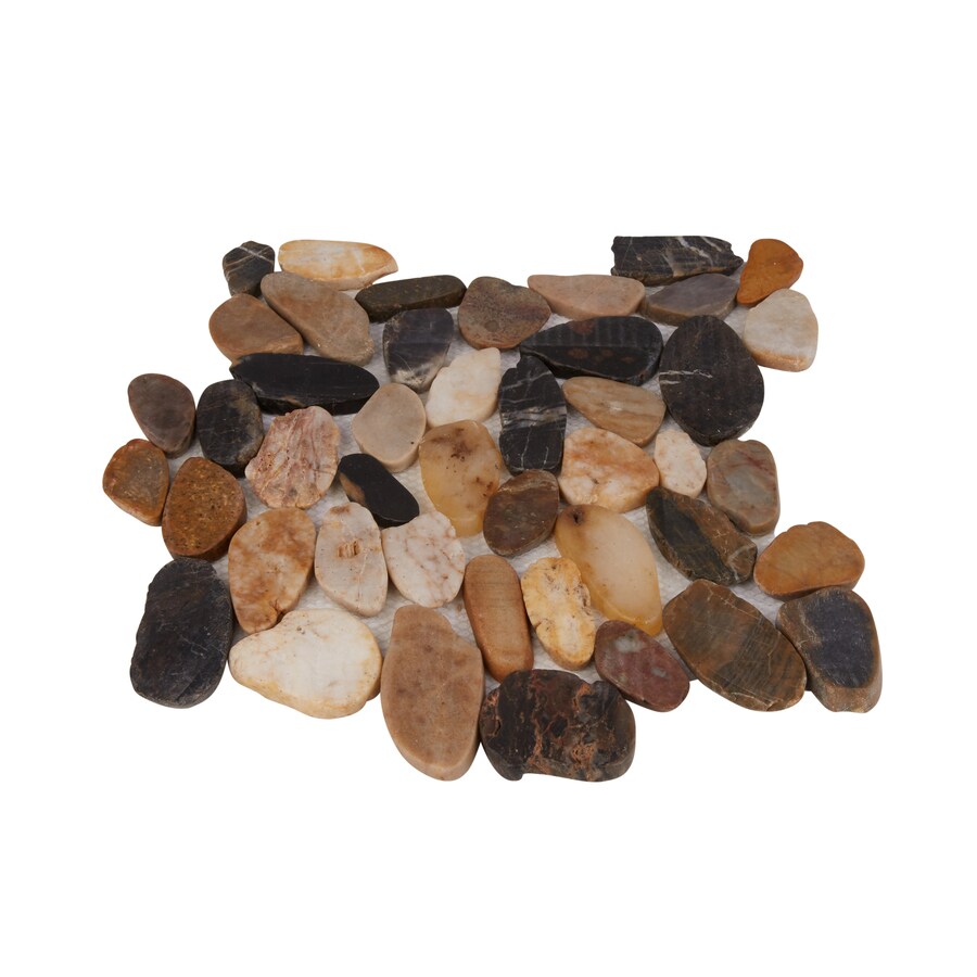 Rain Forest sliced pebble tiles 5-Pack Mixed 12-in x 12-in Honed ...