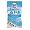 Clorox 40-lb Pool Salt at Lowes.com