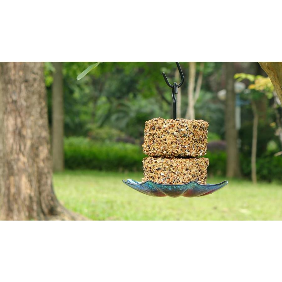 Multiple Colors Plastic Platform Bird Feeder in the Bird Feeders ...