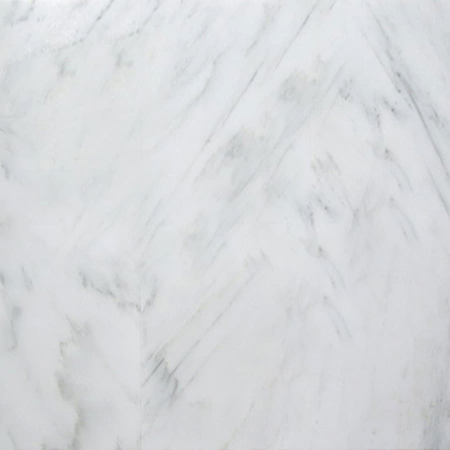 Emser 5-Pack Winter Frost Polished Natural Stone Marble Tile at Lowes.com
