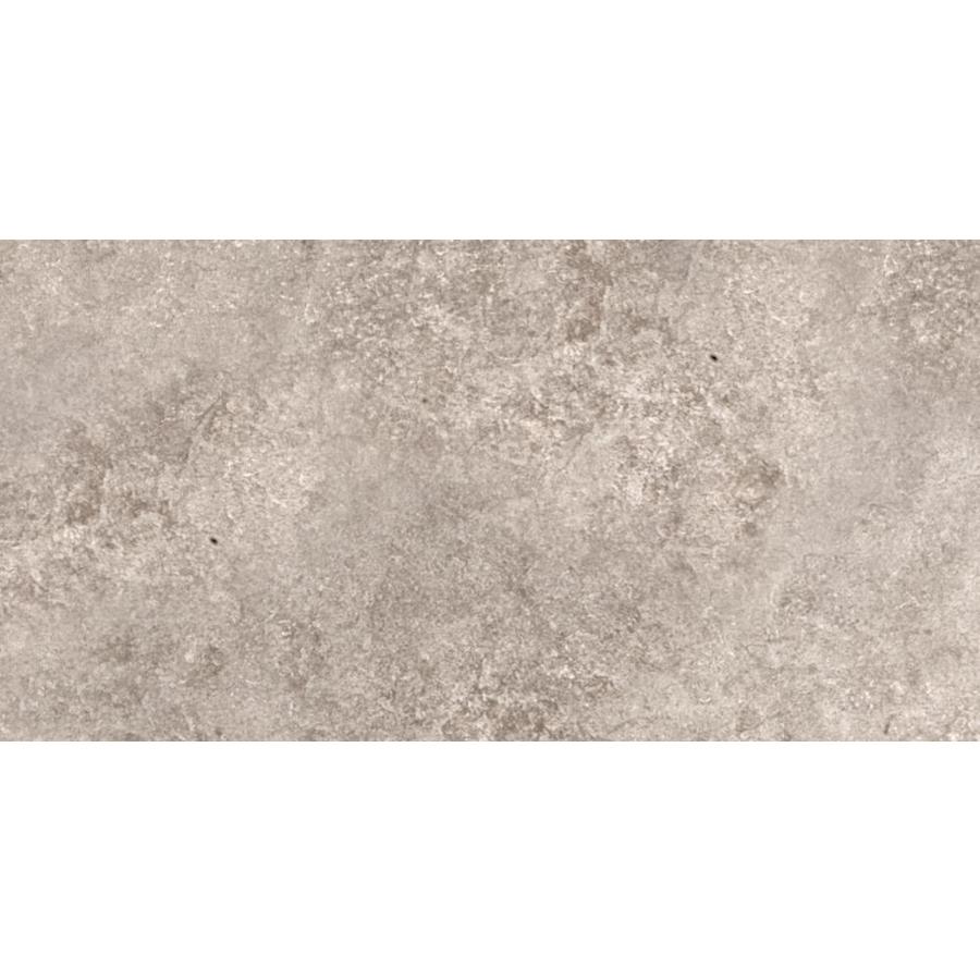 Emser Baja 5-Pack Tecate 12-in x 24-in Glazed Ceramic Floor and Wall ...