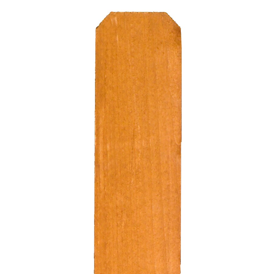 Severe Weather Wood Spruce Fence Picket (Common: 5/8-in x 3-1/2-in x ...