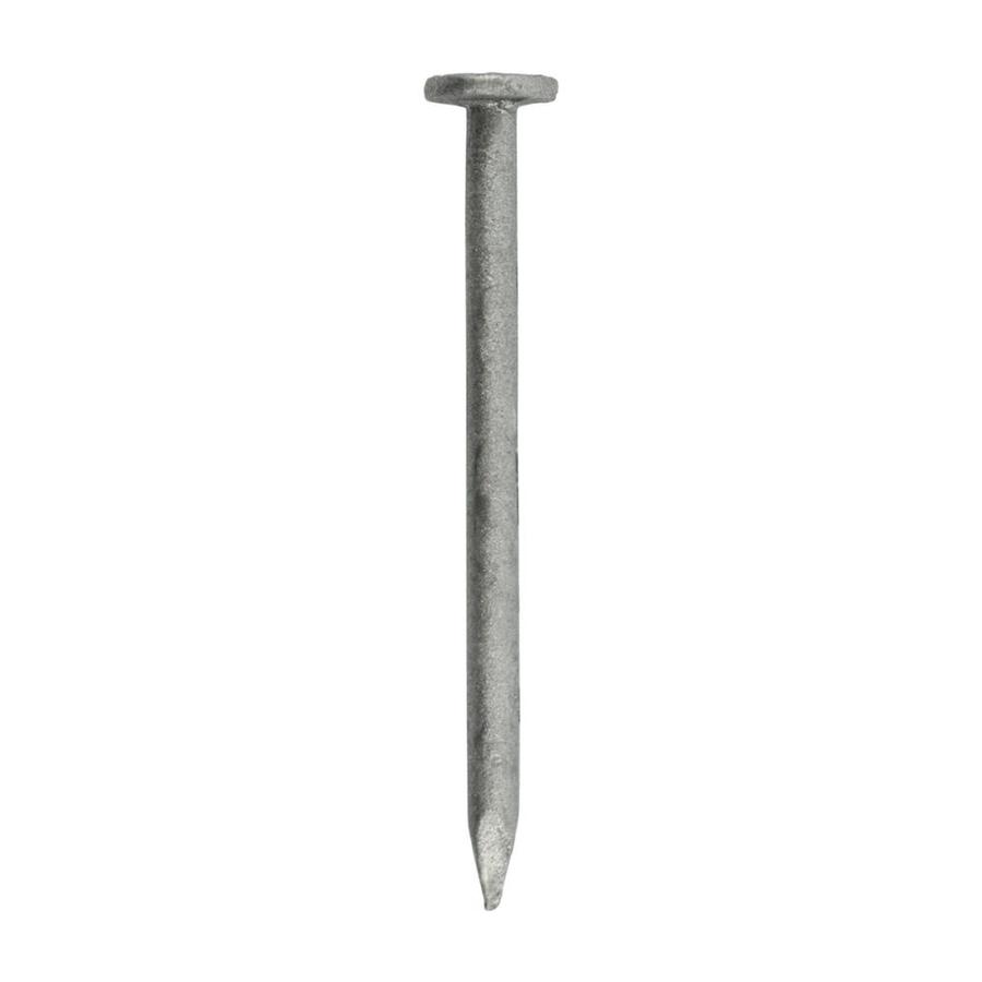 Grip-Rite 1-1/2-in 13-Gauge Hot-Dipped Galvanized Steel Common Nails (1 ...