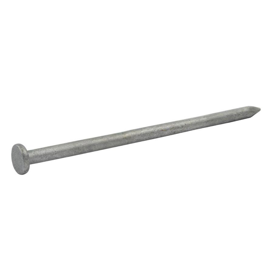 Grip-Rite 3-1/2-in 8-Gauge Hot-Dipped Galvanized Steel Common Nails (1 ...