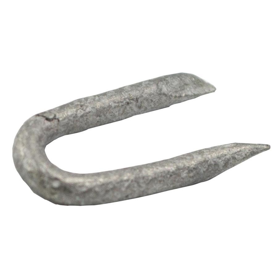 Grip-Rite 1-1/4-in Leg x 1/4-in Round Crown Standard Staples (5-lbs) in ...