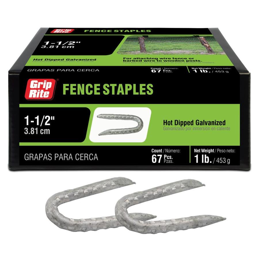 Grip-Rite 1-1/2-in Leg x 1/4-in Round Crown Standard Staples (1-lb) at ...