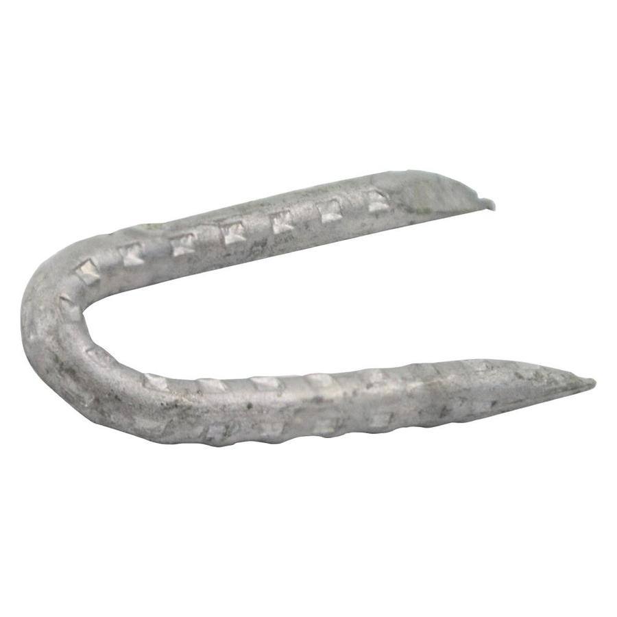 Grip-Rite 1-1/2-in Leg x 1/4-in Round Crown Standard Staples (1-lb) in ...