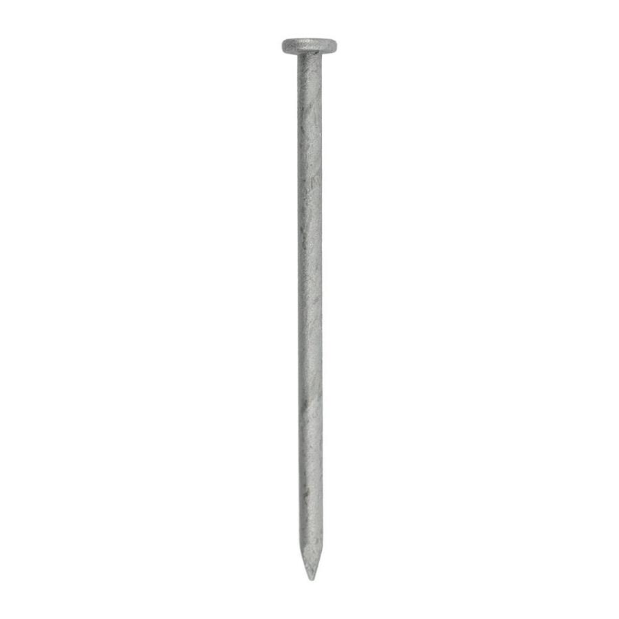 Grip-Rite 10lb Common Nail Galv 12d in the Common Nails department at ...