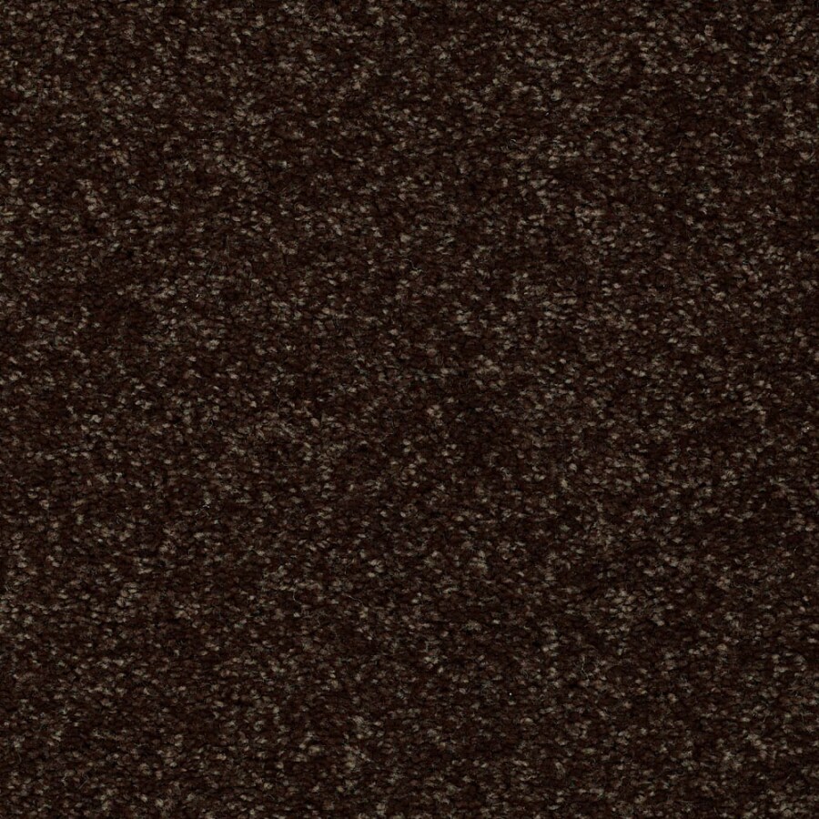 Brown Pepper Carpet at Lowes.com