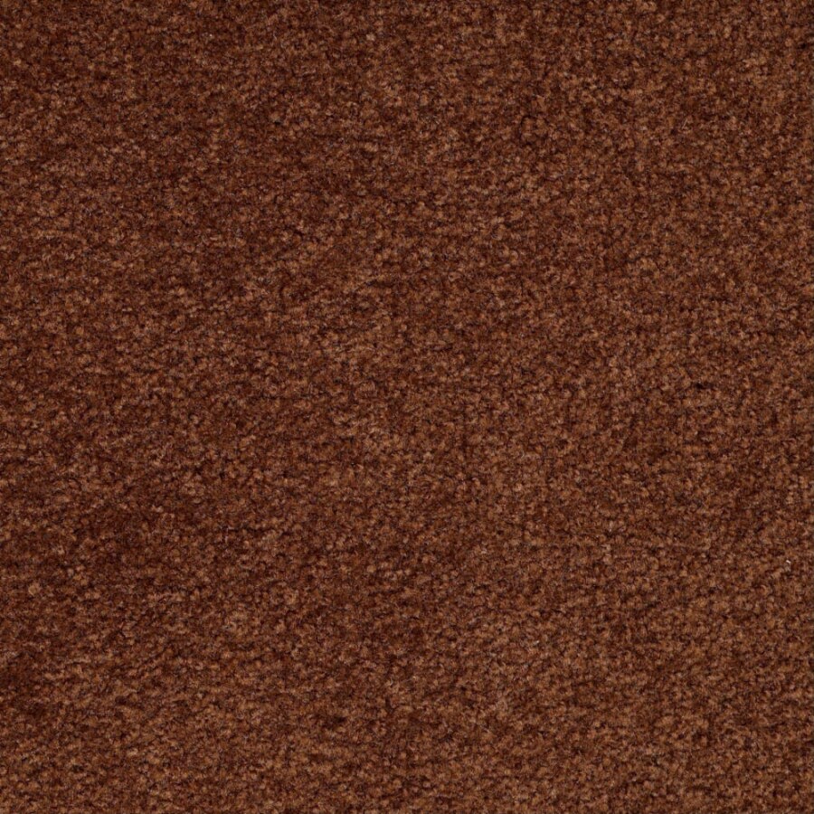 STAINMASTER undefined at Lowes.com