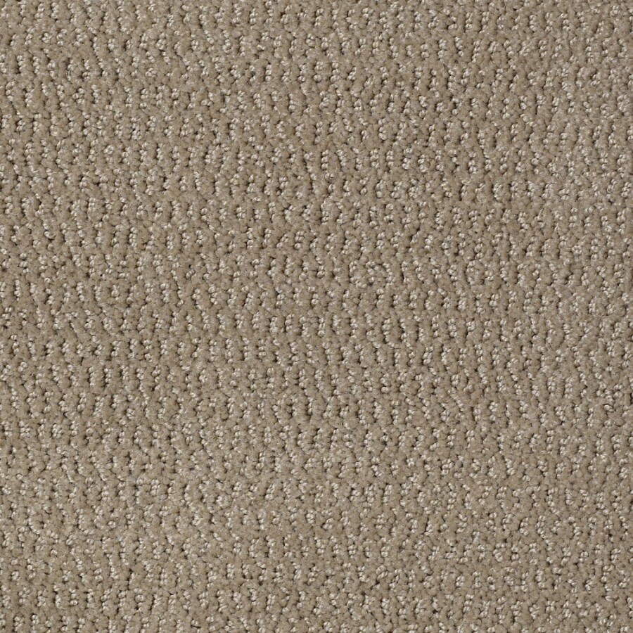STAINMASTER Active Family Stoneware Berber Indoor Carpet at Lowes.com