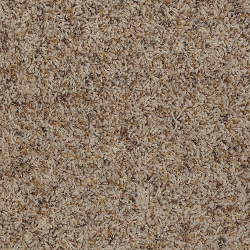 STAINMASTER Active Family Majestic Oatmeal Textured Indoor Carpet at ...