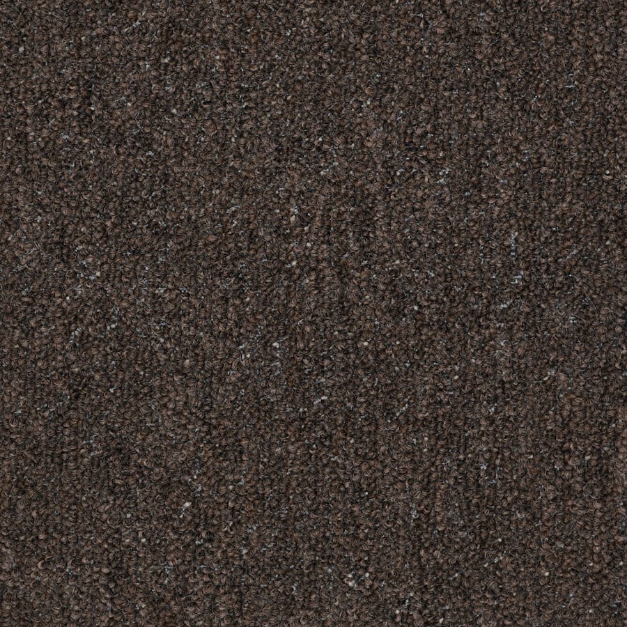 Shaw Revelation RR Brown Leather Berber/Loop Interior Carpet at Lowes.com
