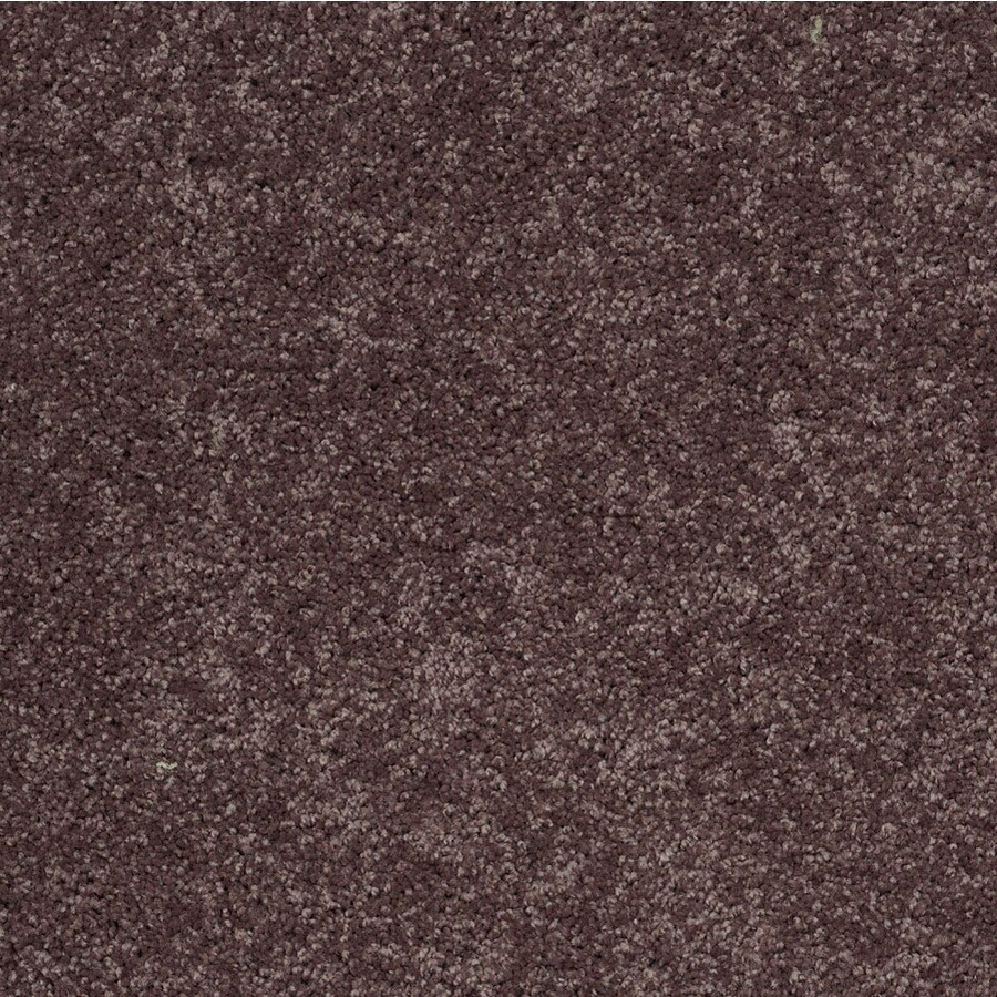 Simple Select Love Story Carpet at Lowes.com