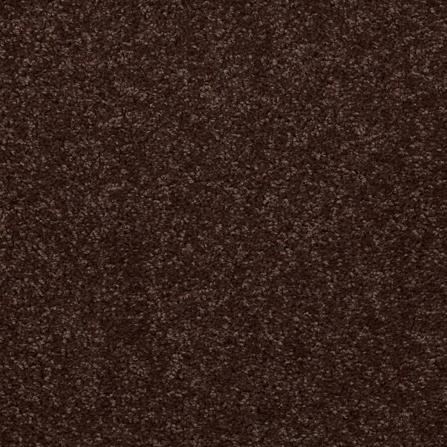 Songbird Chocolate Chip Textured Indoor Carpet at Lowes.com