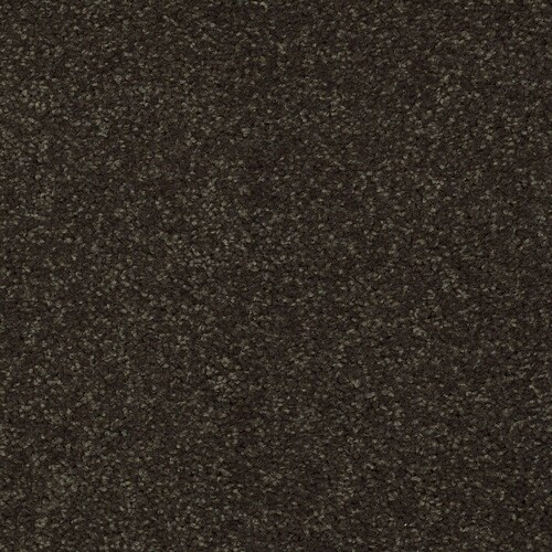 Simple Select Forest Floor Textured Interior Carpet in the Carpet ...
